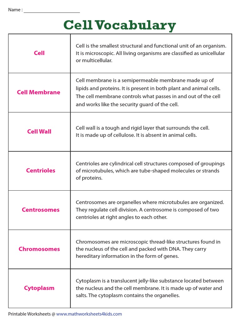 Cell Vocabulary | PDF | Endoplasmic Reticulum | Cell (Biology)