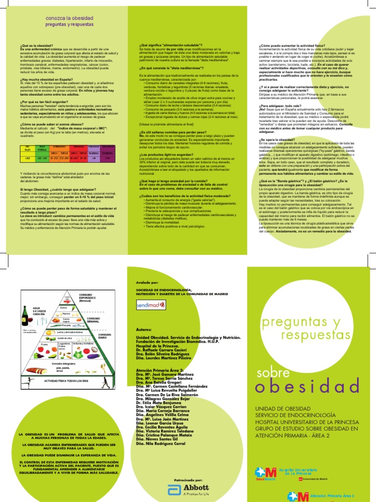 Triptico - Informativo - Defininit Obesidad | PDF | Obesidad | Dieta