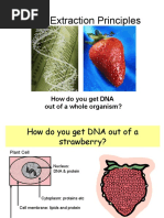 DNA Extraction Lab Sheet | PDF | Dna | Cell (Biology)