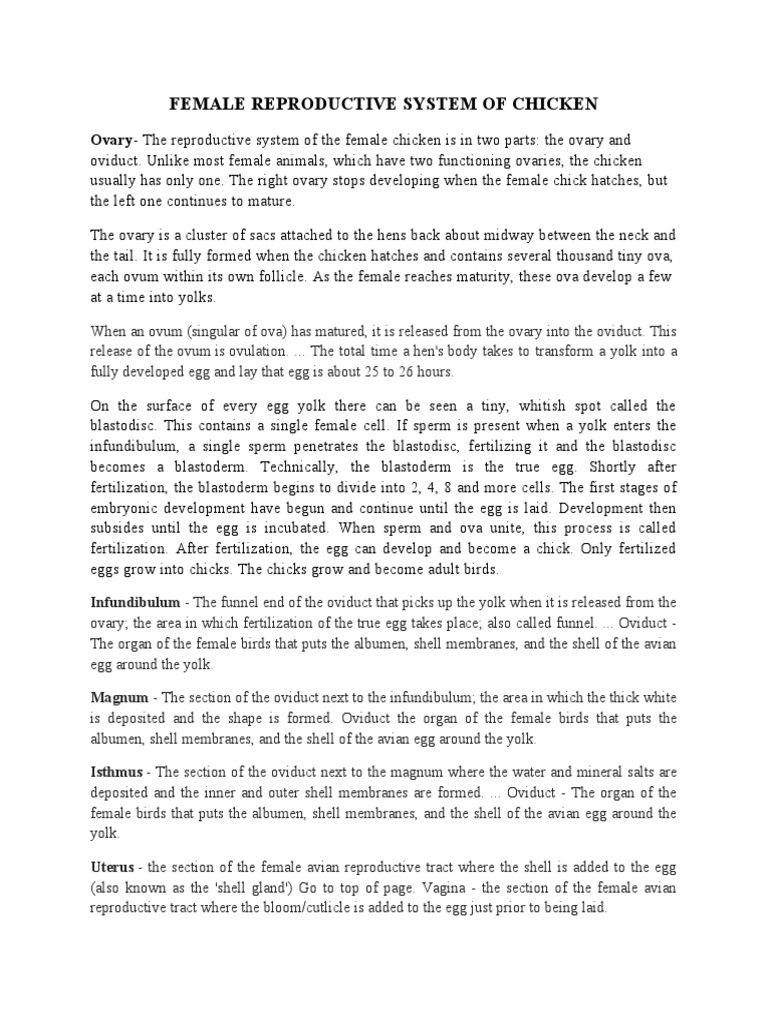 Book FEMALE REPRODUCTIVE SYSTEM OF CHICKEN | PDF | Reproductive System ...