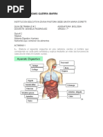 Anatomía de las Fascias de Toldt y Treitz | PDF | Páncreas | Intestino ...