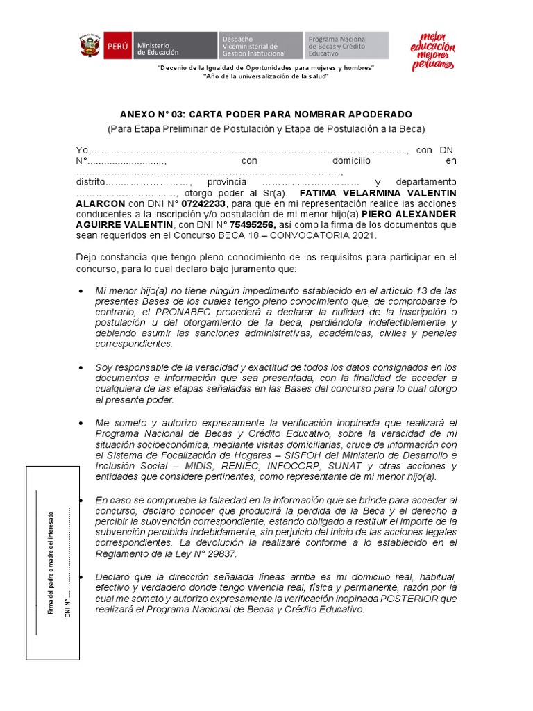 ANEXO N°03 | PDF | Justicia | Crimen y violencia