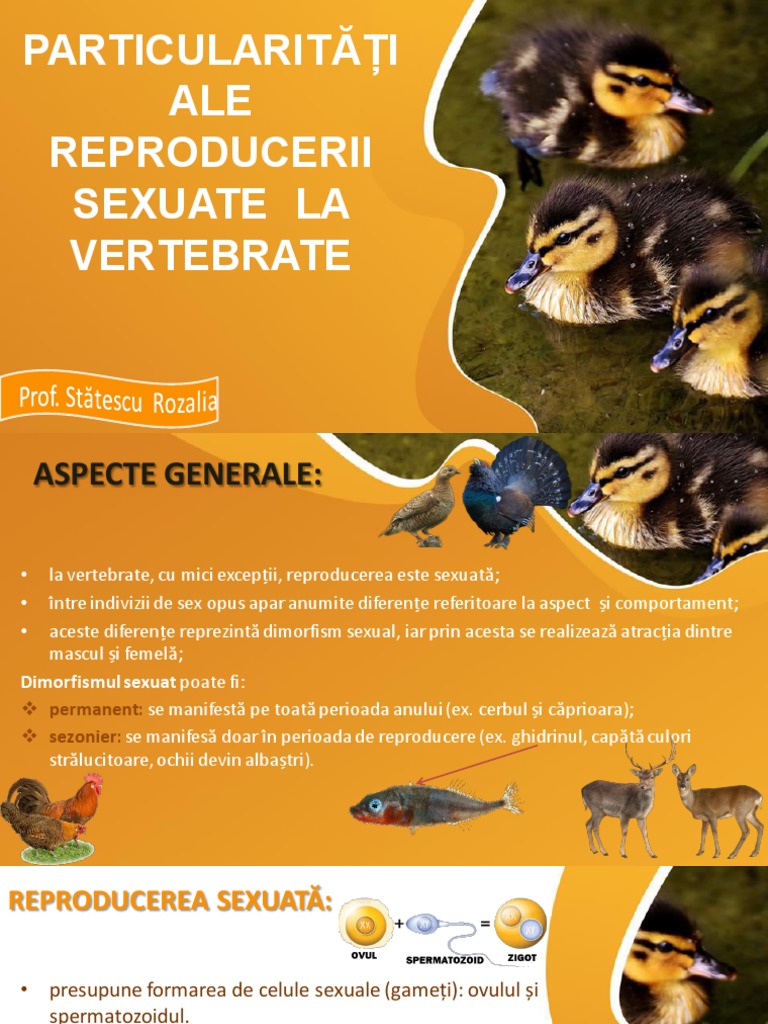 Particularitati Ale Reproducerii La Vertebrate | PDF