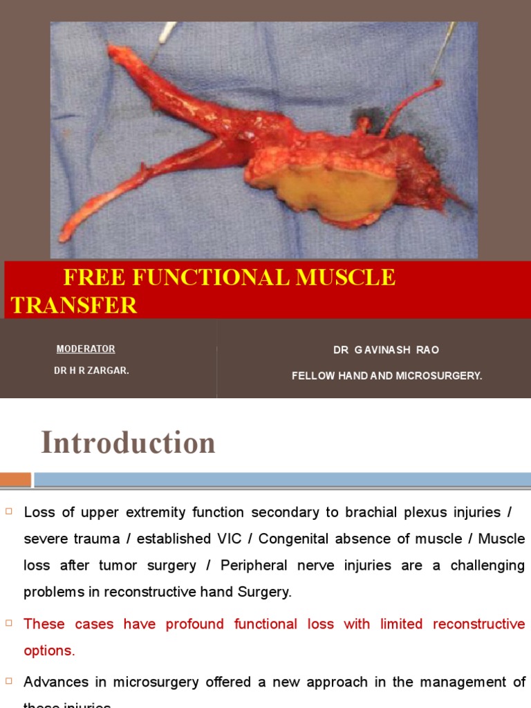 Free Functional Muscle Transfer Techniques | PDF | Elbow | Thumb