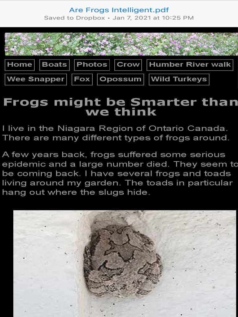 Are Frogs Intelligent | PDF | Nature