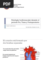 ESÒFAGO (Anatomía, Embriología, Histología y Fisiología) | PDF ...