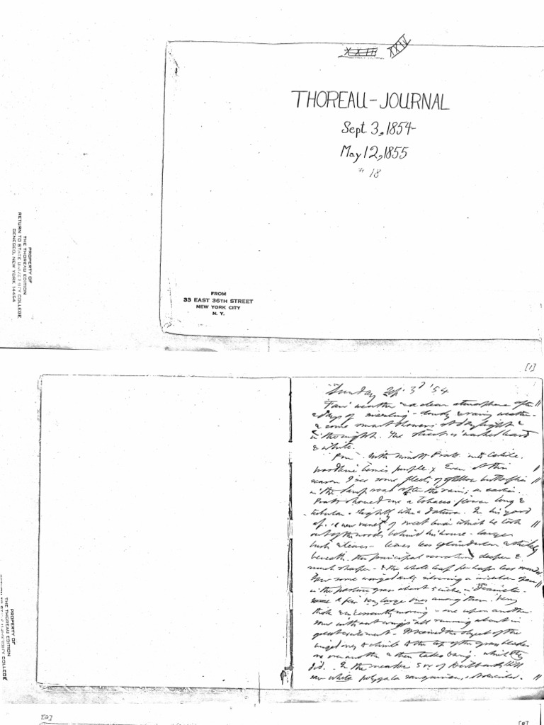 Unstructured Text Analysis Guide | PDF