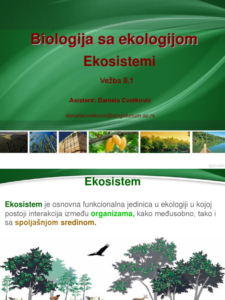 Biologija Sa Ekologijom Vezba 9.1 | PDF