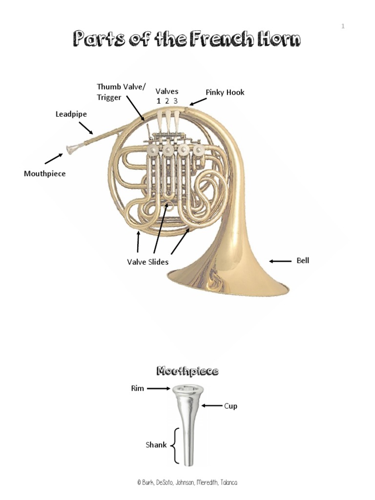 Parts of The French Horn: Mouthpiece | PDF
