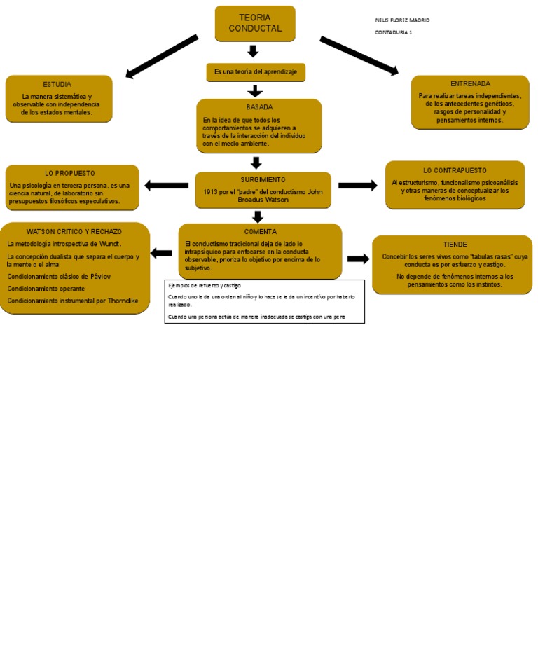 Mapa Conceptual Teoria Conductual | PDF | Behaviorismo | Comportamiento