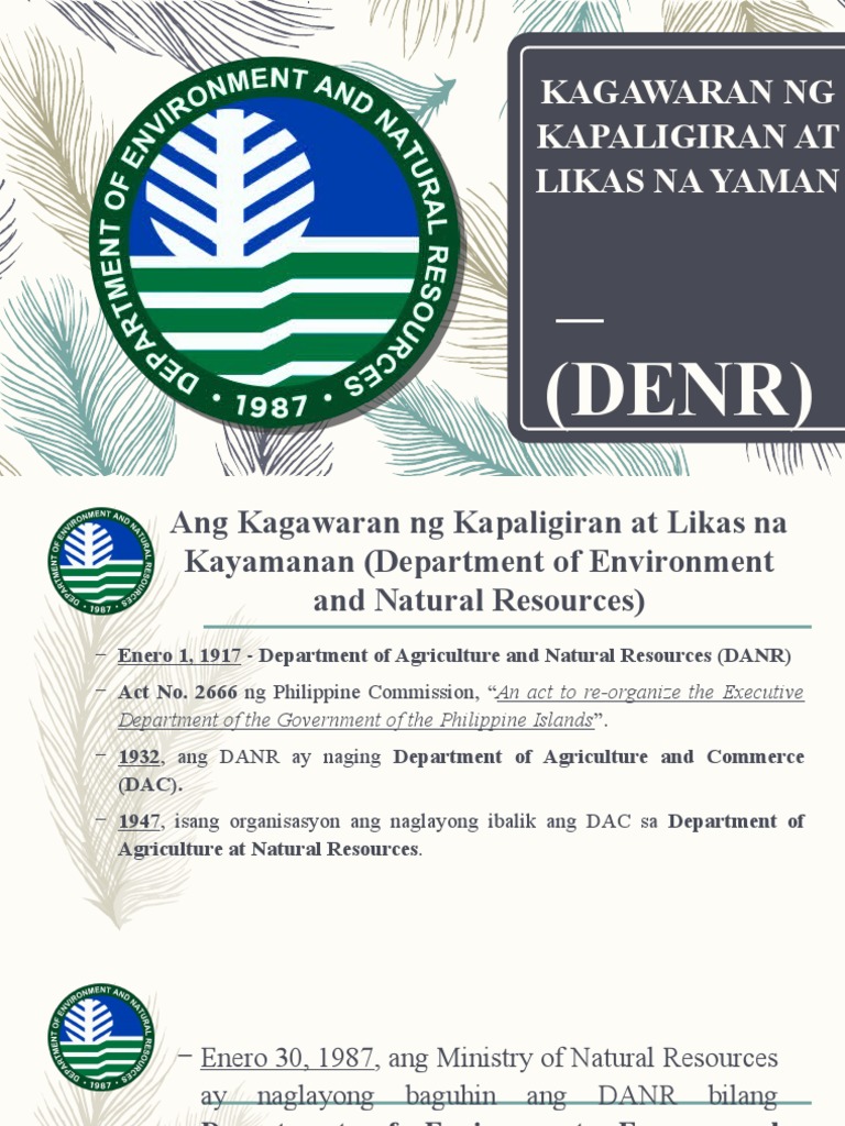 DENR | PDF