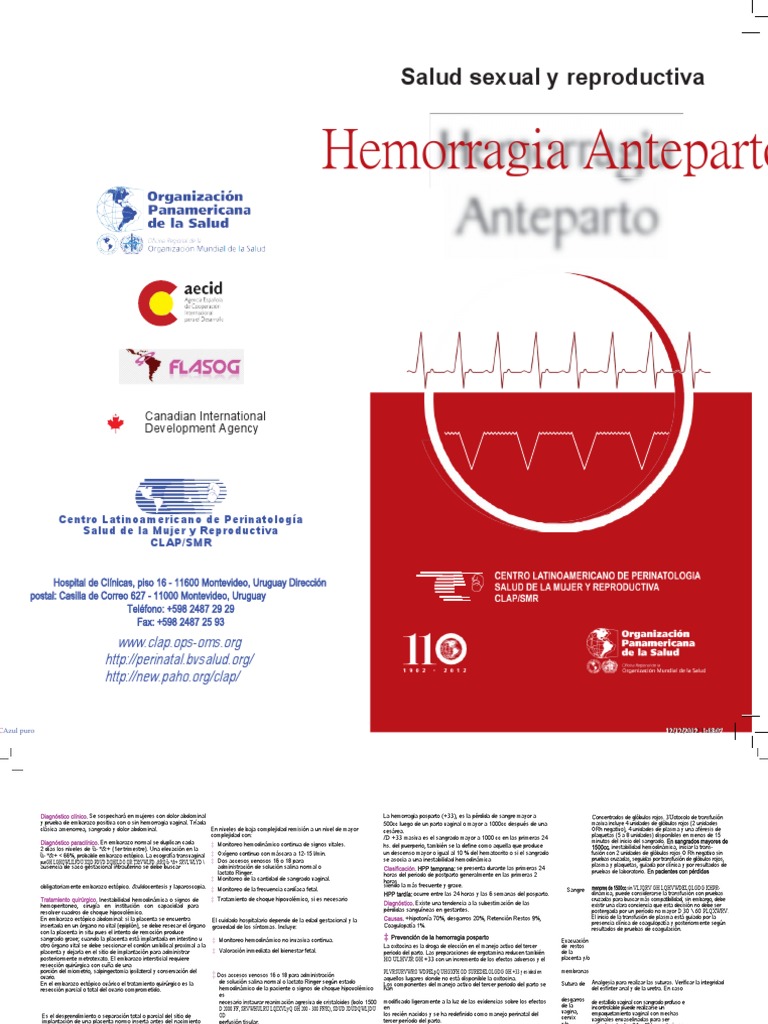 Clap Trip T 03 Hemor Rag | PDF | Parto | El embarazo