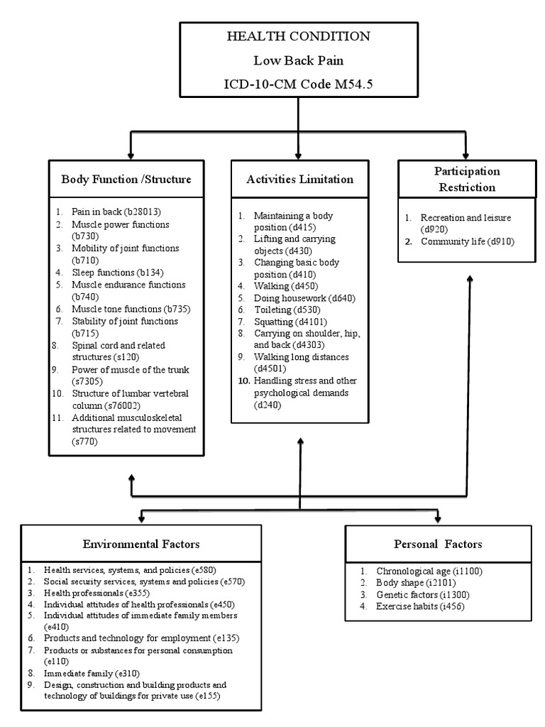 ICF Framework for Low Back Pain | PDF | Low Back Pain | Musculoskeletal ...