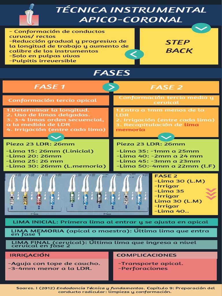 Técnica de Intrumentación Apico-Coronal | PDF