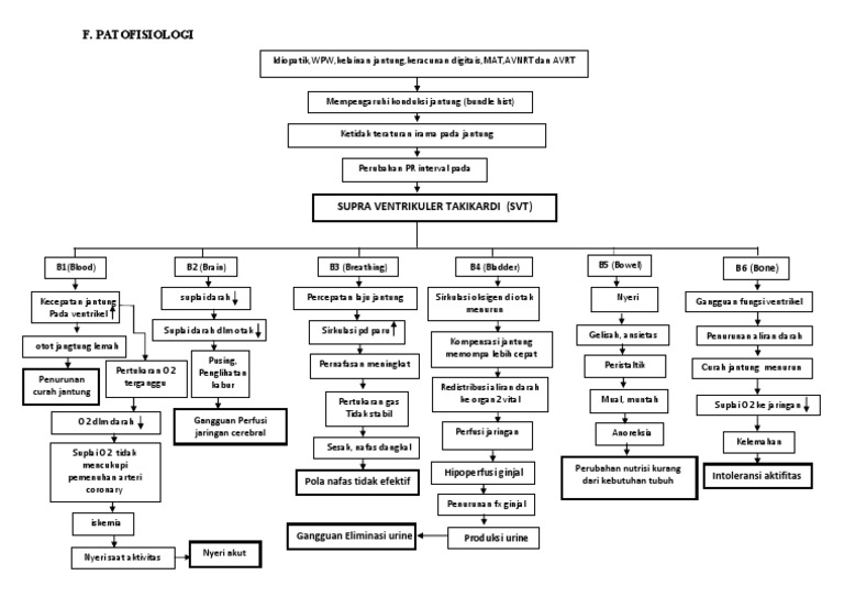 Pathway SVT | PDF