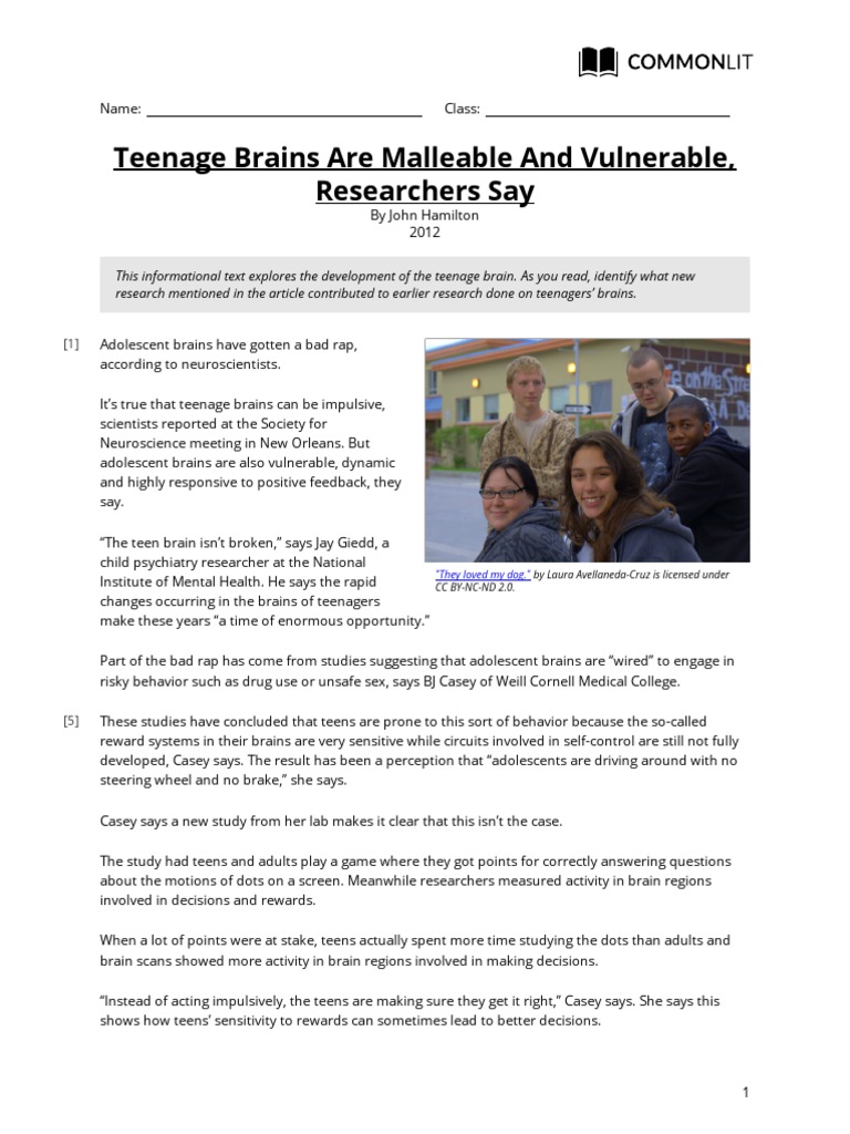 Teenage Brains Are Malleable and Vulnerable, Researchers Say | PDF ...