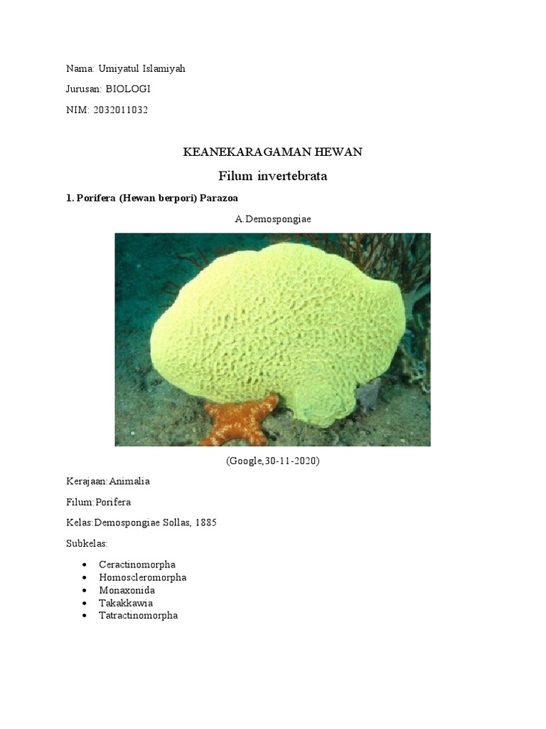 Filum Invertebrata: Keanekaragaman Hewan | PDF | Eukaryotes | Taxa