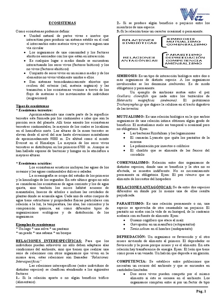 ECOSISTEMAS - FACTOR EDÁFICO | PDF | Suelo | Ecología