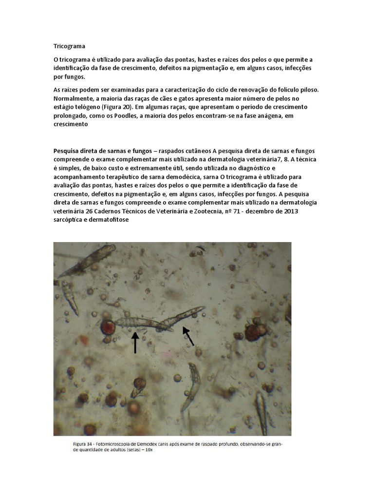 Trico Grama | PDF | Fungo | Biologia