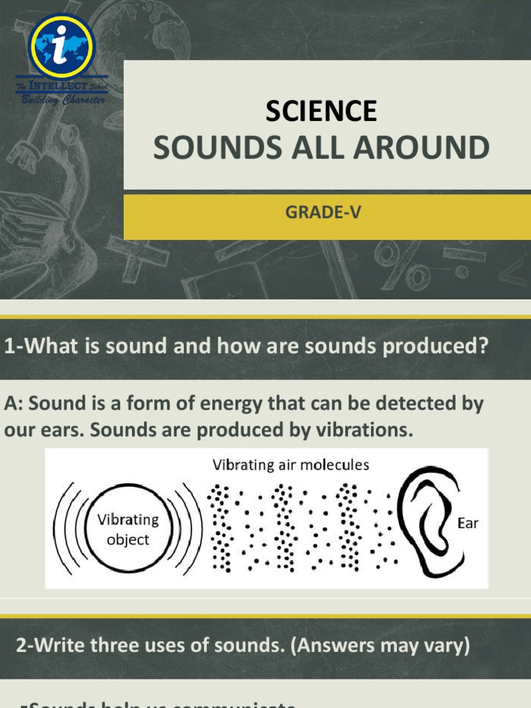 Sounds All Around | PDF | Ear | Sound