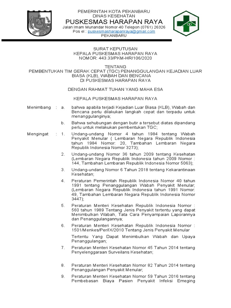 SK Tim Gerak Cepat Puskesmas HR 2020 | PDF
