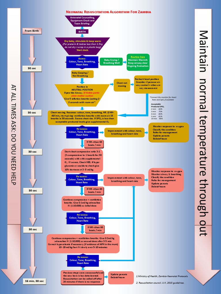 Neonatal Resuscitation Algorithm For Zambia | PDF | Breathing ...