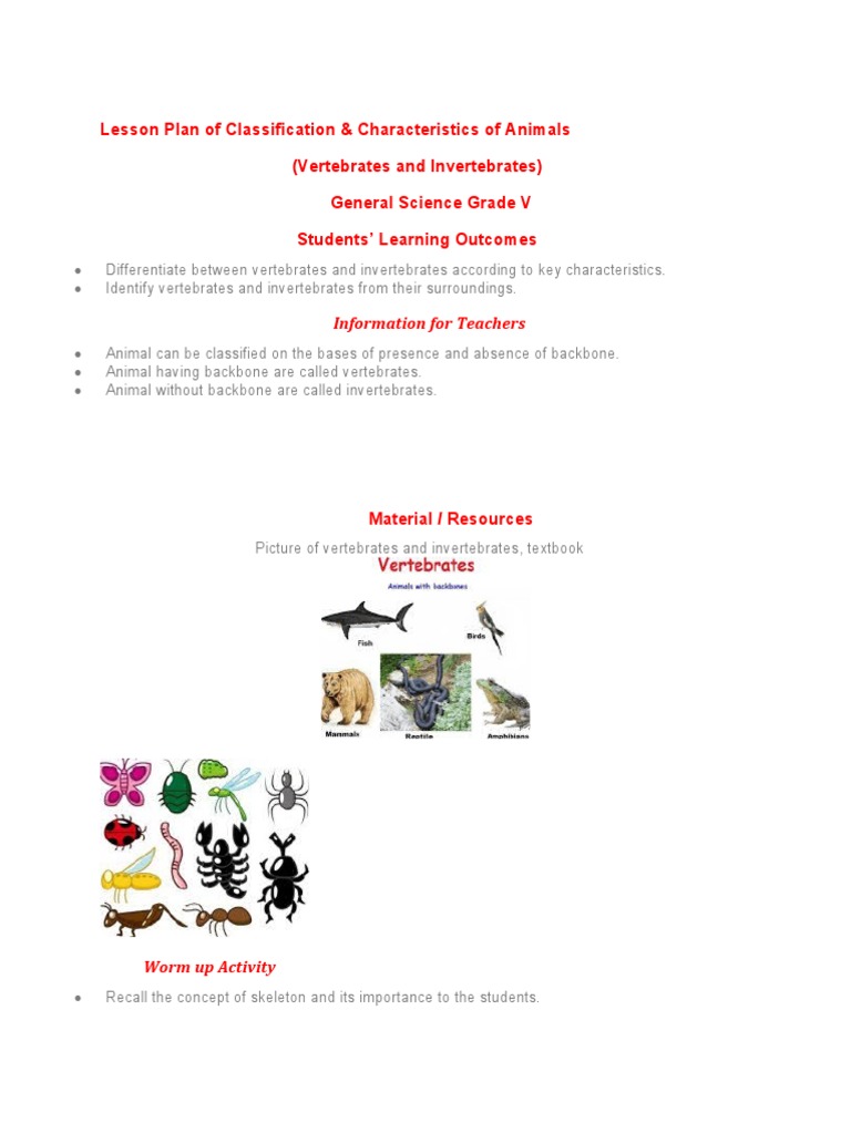 Lesson Plan of Classification | PDF | Invertebrate | Vertebral Column