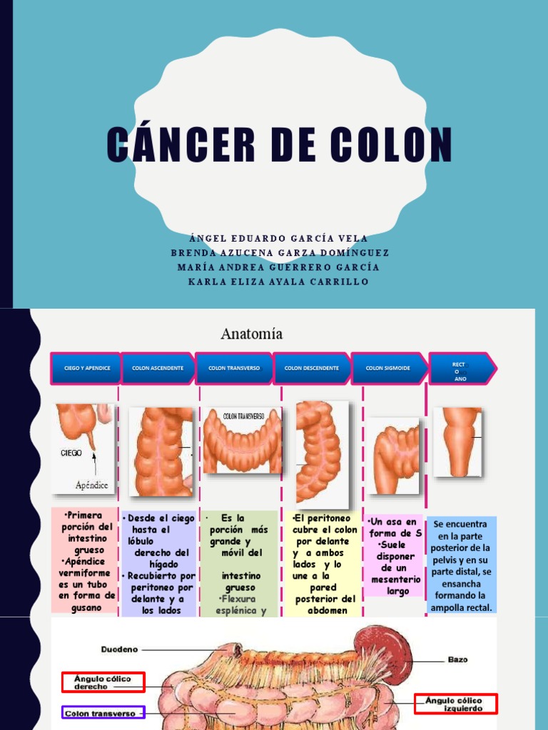 Cáncer de Colon: Síntomas y Diagnóstico | PDF | Intestino grueso ...