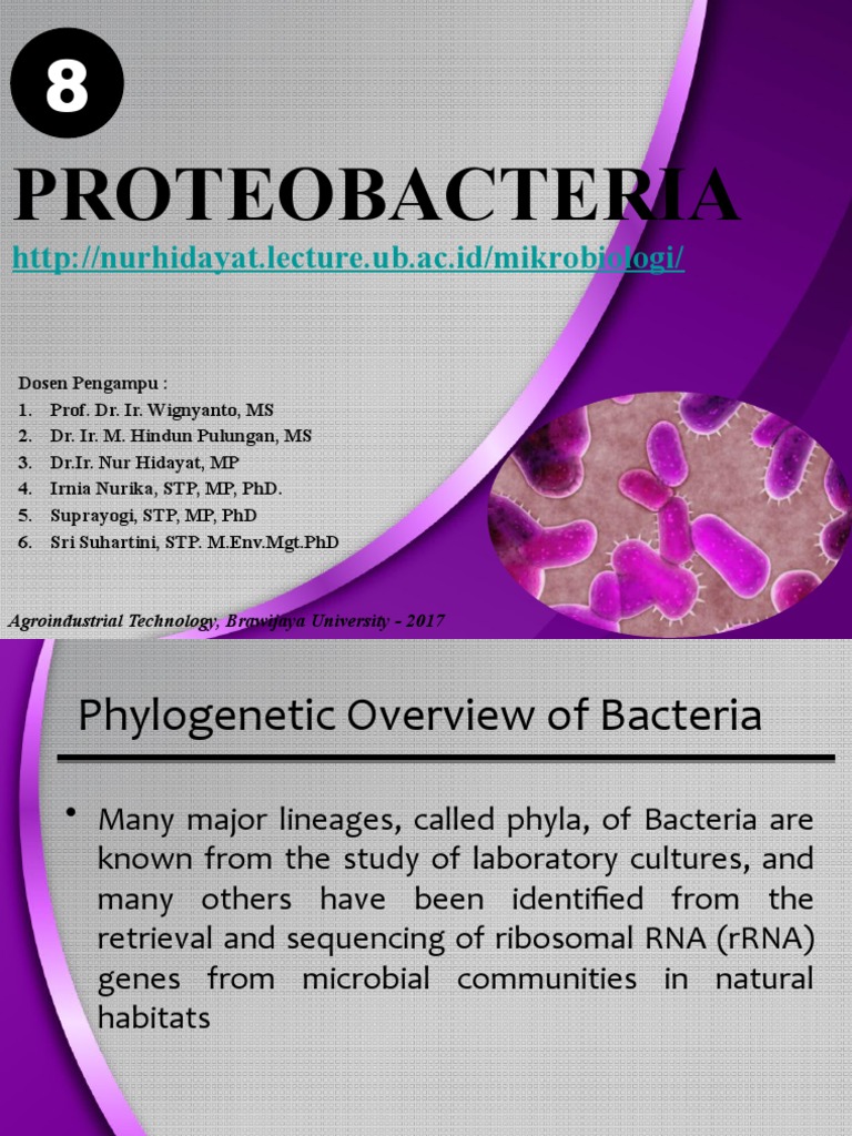 Proteobacteria: Agroindustrial Technology, Brawijaya University - 2017 ...