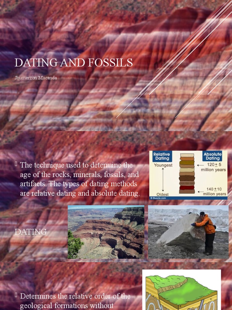 Geology: Dating and Fossils Basics | PDF | Stratigraphy | Sedimentary Rock