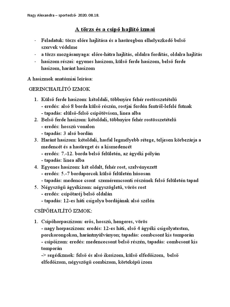 A Törzs És A Csípő Hajlító Izmai | PDF