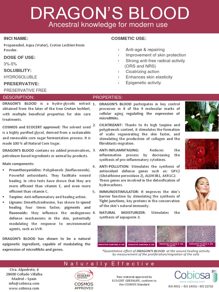 Monograph DRAGON'S BLOOD+LP | PDF | Wound Healing | Biology