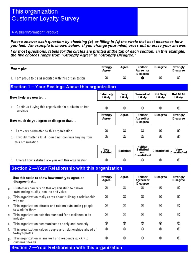 Customer Loyalty Survey Template | PDF | Leadership | Business