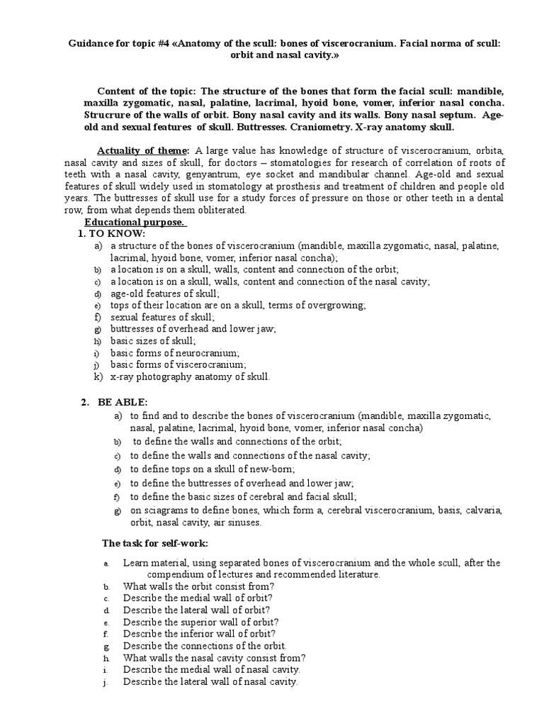 Facial Scull | PDF | Skull | Human Nose
