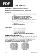 Plant Cell Study Guide | PDF | Cell (Biology) | Plants