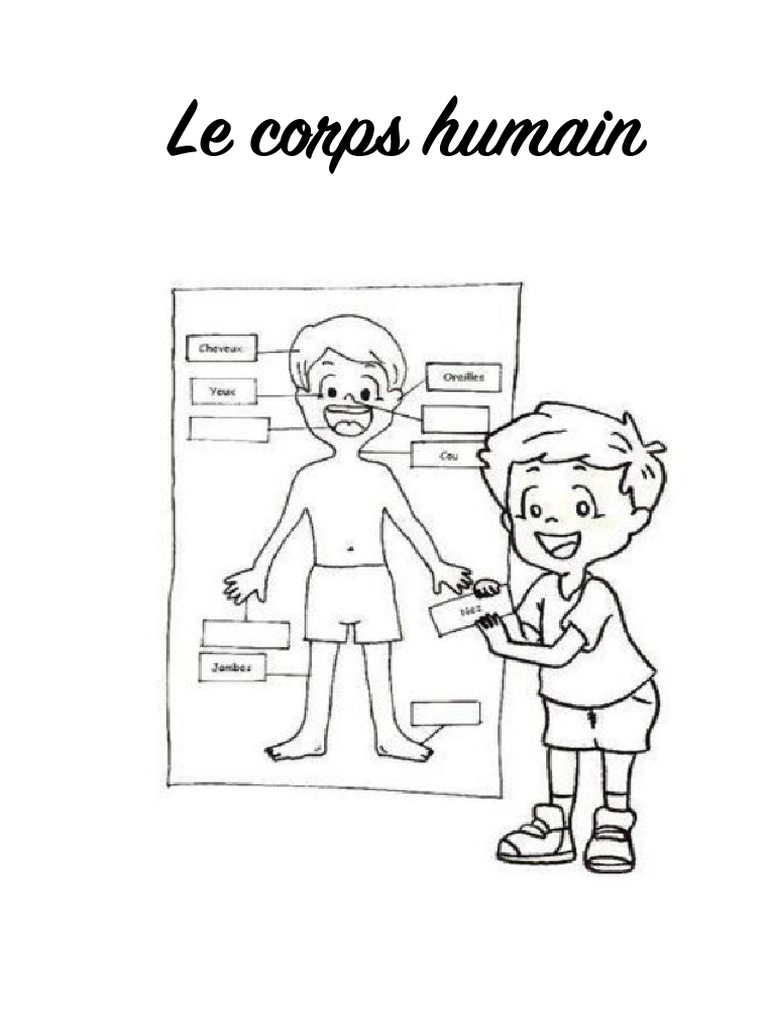 Coloriage Du Corps Humain Coloriages Sur Le Corps Tête à Modeler