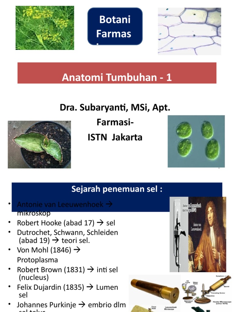 Botani Farmasi-1 | PDF