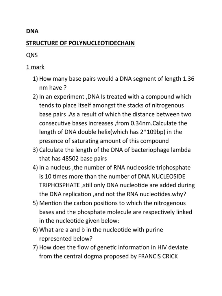 DNA Structure of Polynucleotidechain | PDF | Operon | Genetic Code