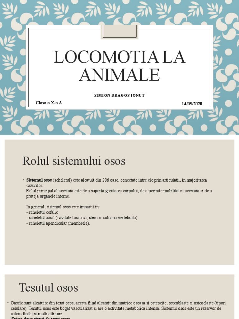 Locomotia La Animale | PDF