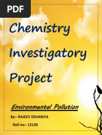 Project On Pollution | PDF | Environmental Degradation | Pollution
