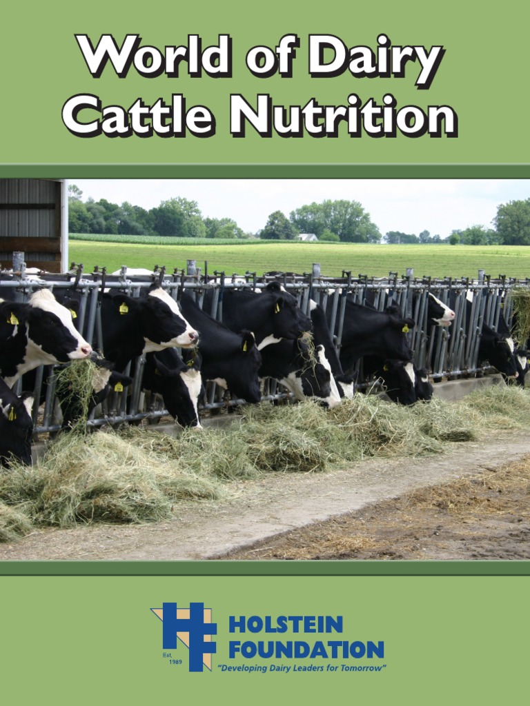 Dairy Cattle Nutrition | PDF | Digestion | Vitamin