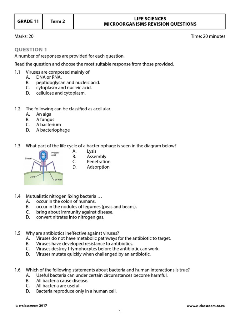 Grade 11 - Life Science - Revision Questions - Micro-Organisms ...