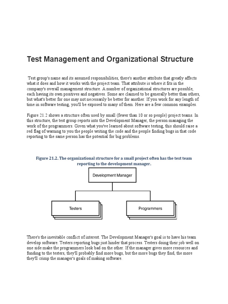 Test Team Organizational Structures | PDF | Software Testing | Software Bug