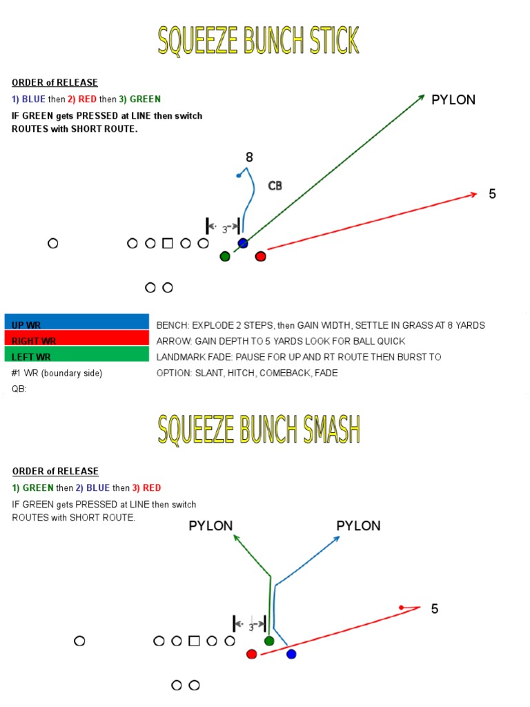 BUNCH | PDF | American Football | National Football League Teams Seasons