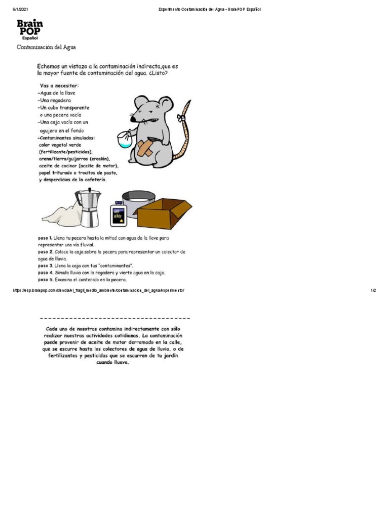 Experimento Contaminación Del Agua - BrainPOP Español | PDF