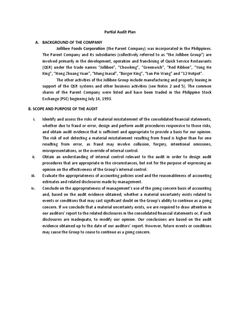 Partial Audit Plan | PDF | Going Concern | Financial Audit