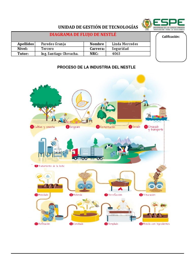 Proceso de Nestlé | PDF