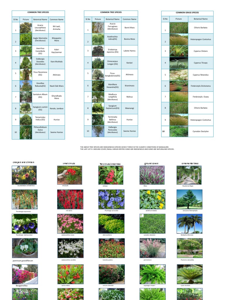 Landscape Architecture Vegetation | PDF | Plant Life Form | Trees