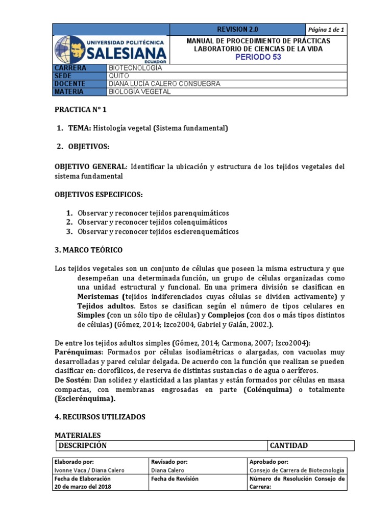 Manual de Practicas Biologia Vegetal P53 | PDF | Raíz | Ramas de la botánica