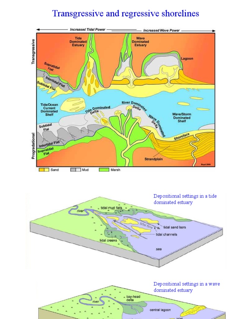 Class-9 Estuary Barrier Bar | PDF | River Delta | Estuary